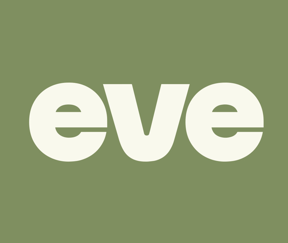 Virtual Companion for Elderly: Eve Virtual Companion